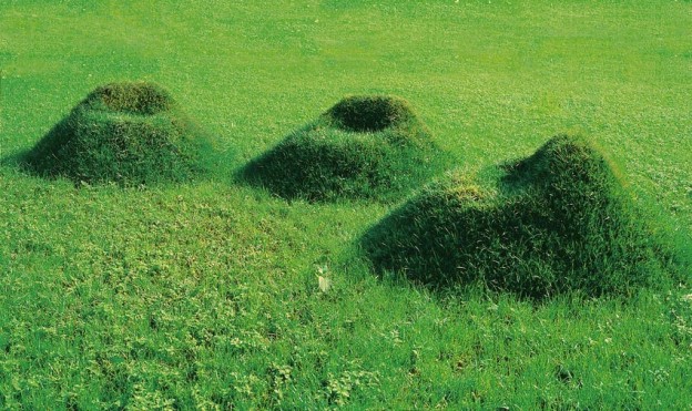 Grow Your Own Chair from Grass, Soil and a Cardboard Framework - Homeli