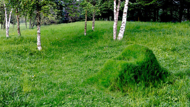 Grow Your Own Chair from Grass, Soil and a Cardboard Framework - Homeli