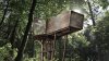 Inhabit Treehouse: A Sustainable Forest Dwelling Concept by Antony ...