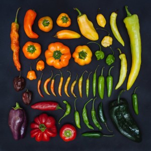 Colour Arrangements by Emily Blincoe - Homeli