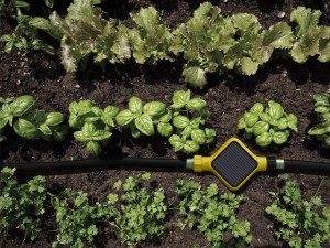 Edyn Garden Sensor for a Smart Connected Garden - Homeli