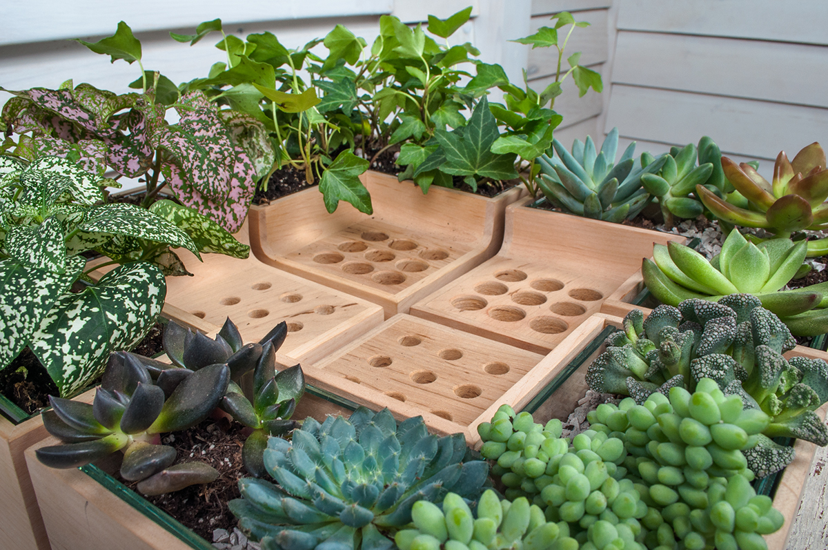 Eco Pot Modular Penholder and Plant Pot by Julia Kononenko - Homeli