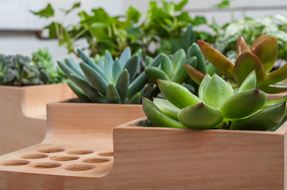 Eco Pot Modular Penholder and Plant Pot by Julia Kononenko - Homeli