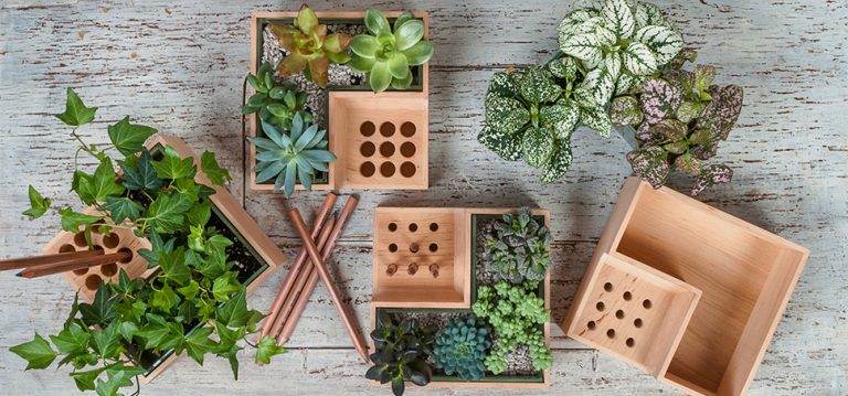 Eco Pot Modular Penholder and Plant Pot by Julia Kononenko - Homeli
